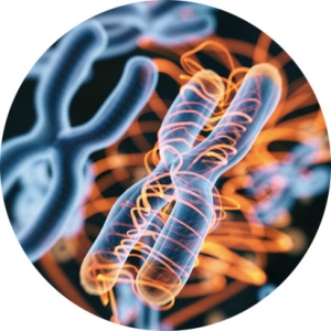 Science – Breakpoint Therapeutics